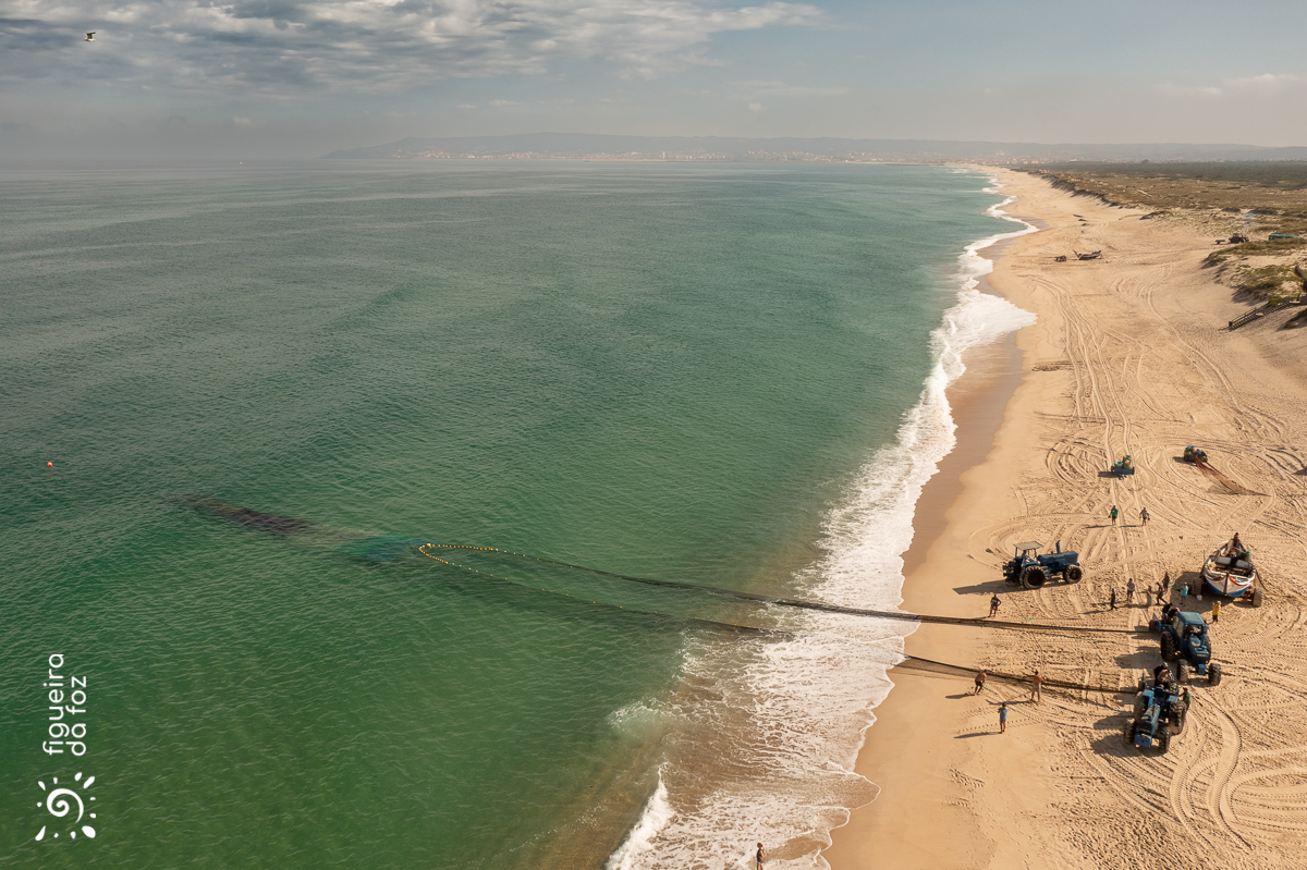 Figueira da Foz: Líder das praias bandeira azul na região Centro ...
